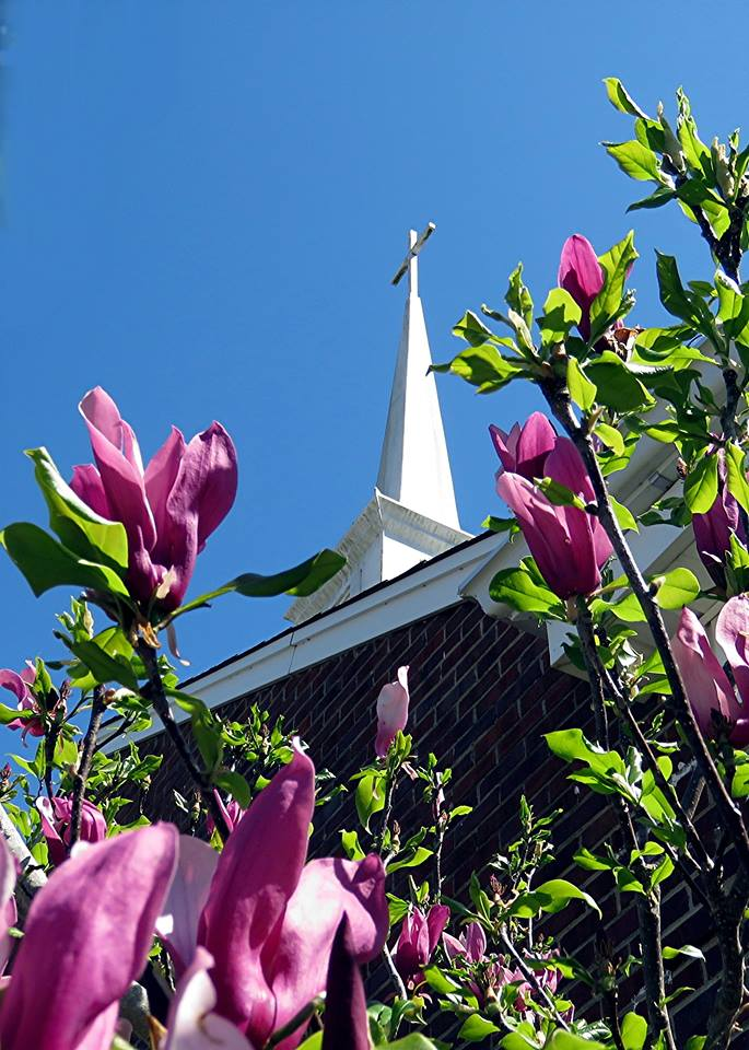 History – Bethel Presbyterian